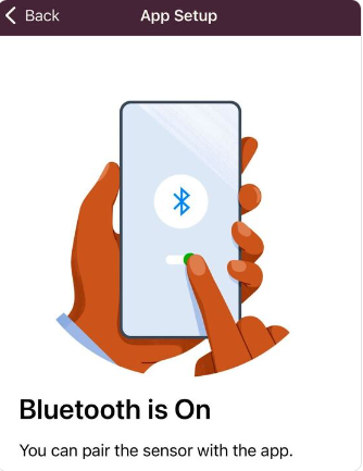 Stelo Set-Up & How to Apply – Ciba Health